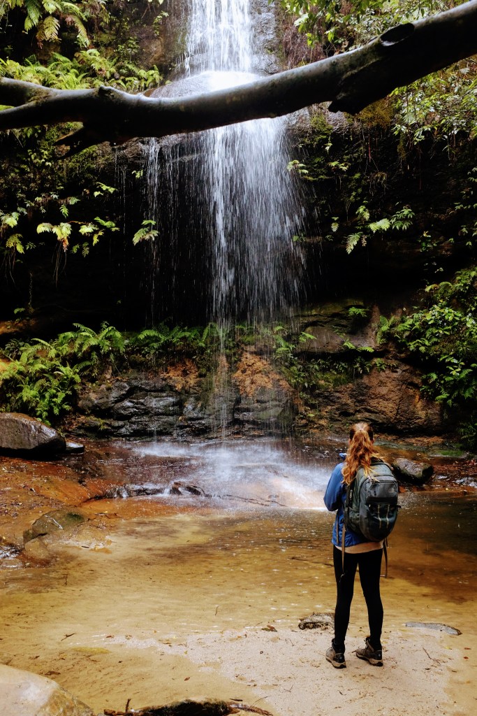 Hiking The South Lawson Waterfall Circuit, Blue Mountains