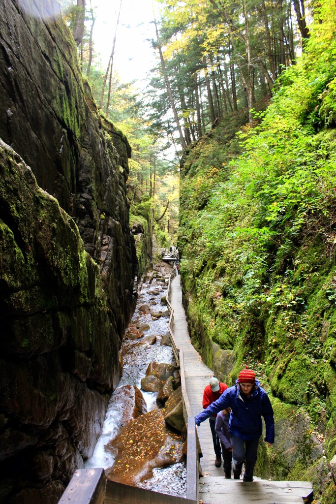Flume Gorge, New Hampshire: The Ultimate Hiking Guide